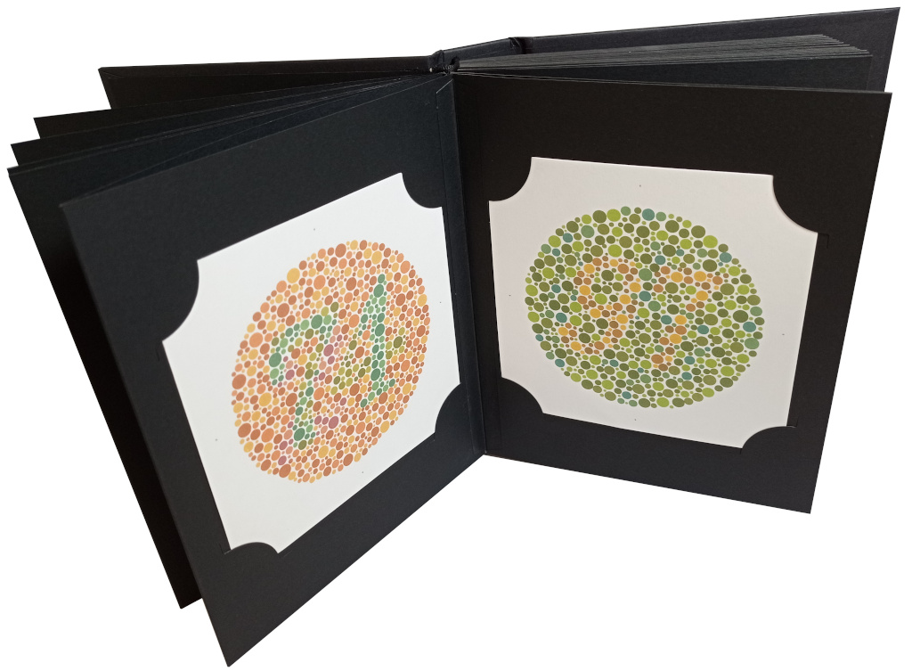 Test Ishihara 38 planches. | LESA FRANCE